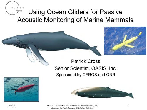 Using Ocean Gliders for Passive Acoustic Monitoring of Marine ...