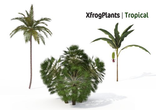 XfrogPlants | Tropical Library