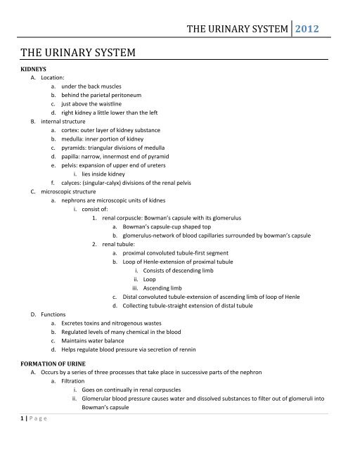 THE URINARY SYSTEM - The Littered Box