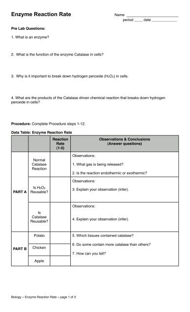 Enzyme Reaction Rate - Mrs. R. Wingerden