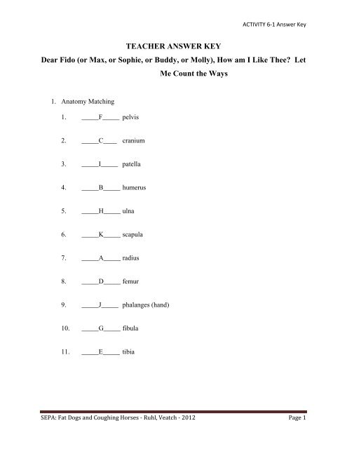 Activity 6-1: Teacher Answer Key