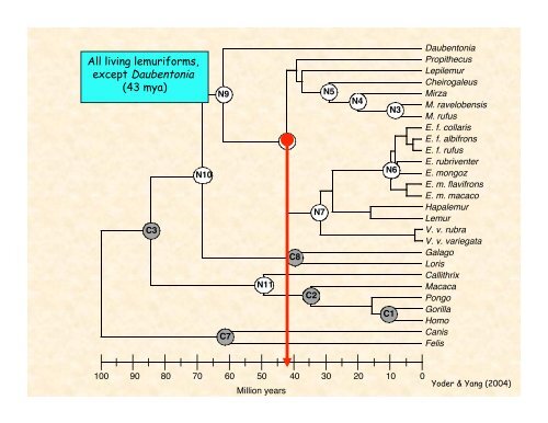 presentation, part 2 - Molecular Evolution