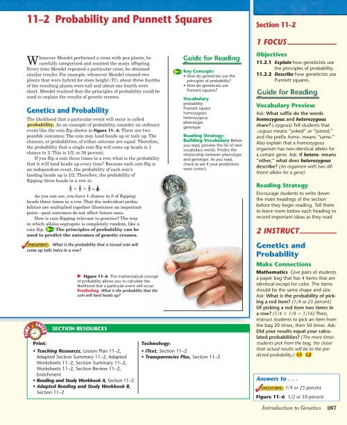 11â 2 Probability and Punnett Squares