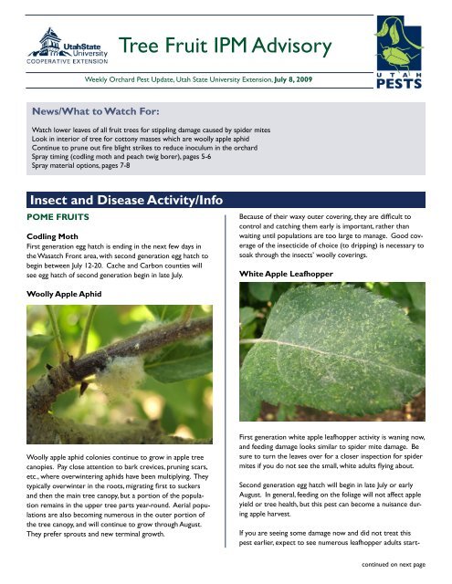 Bugs On Apple Trees: End Pest Problems Now! | Home Garden