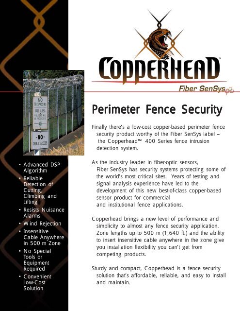 Perimeter Fence Security