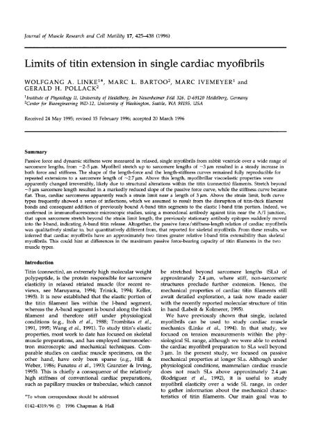 Limits of titin extension in single cardiac myofibrils