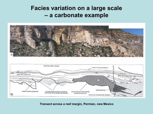 Facies variation on a lar