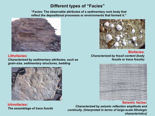 Facies analysis • The m