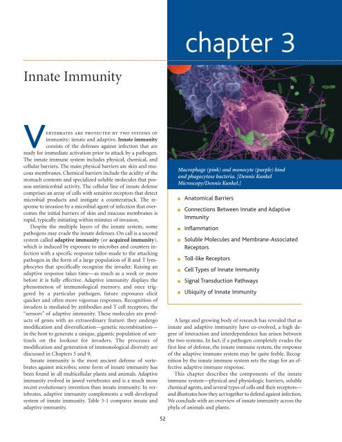 Innate Immunity - W.H. Freeman