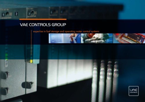 VAE CONTROLS GROUP