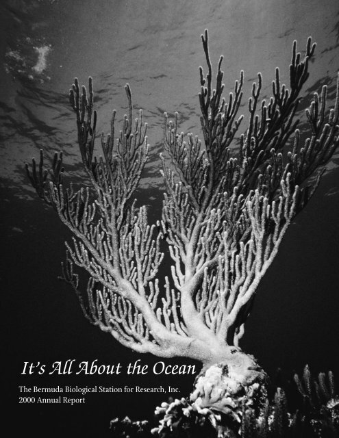 BBSR 2000 Annual Report - Bermuda Institute of Ocean Sciences