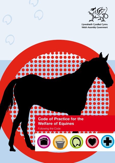 Code of Practice for the Welfare of Equines