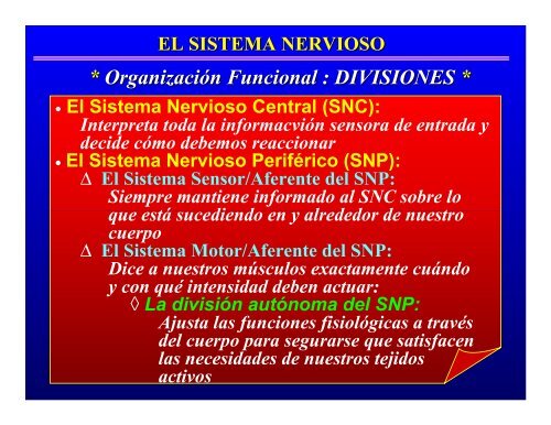EL SISTEMA NERVIOSO * Org