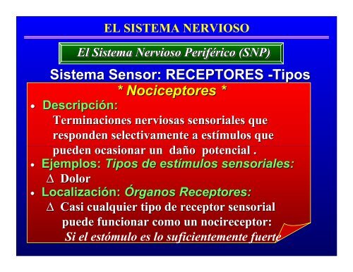 EL SISTEMA NERVIOSO El Si