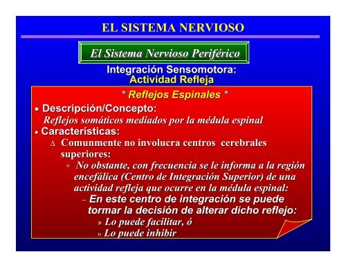 EL SISTEMA NERVIOSO El Si