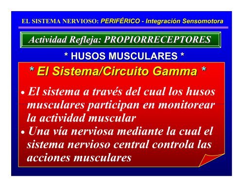 EL SISTEMA NERVIOSO: PERI