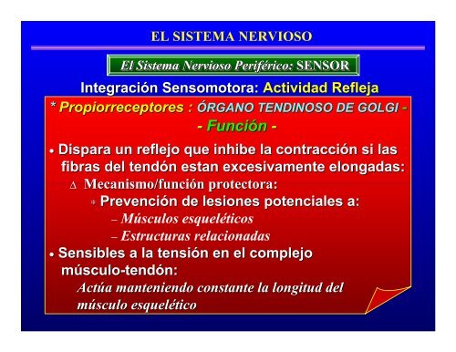 EL SISTEMA NERVIOSO El Si