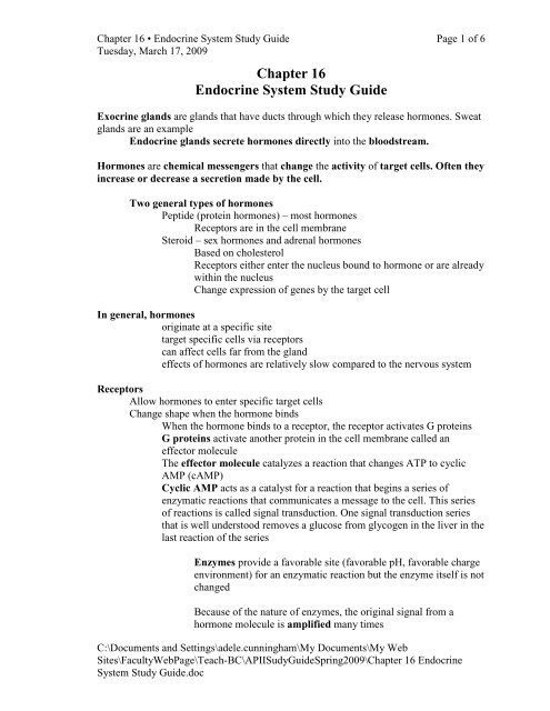 Chapter 16 Endocrine System Study Guide Bainbridge 