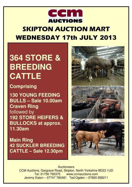 364 STORE & BREEDING CATTLE - Auction Mart