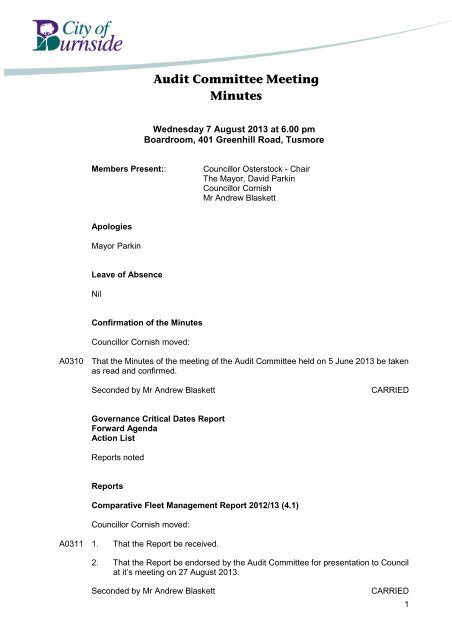 Audit Committee Meeting Minutes - City of Burnside