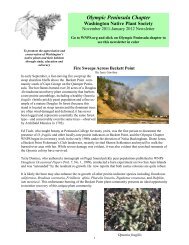 Vascular Plant List - Washington Native Plant Society