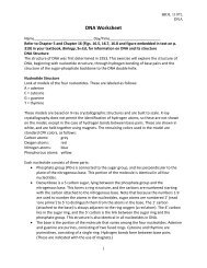 DNA Comparison Worksheet - OnlineHS