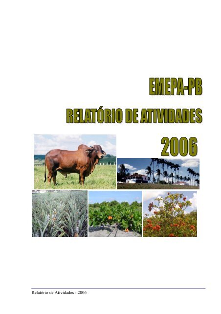 RelatÃ³rio de Atividades - 2006 - Emepa