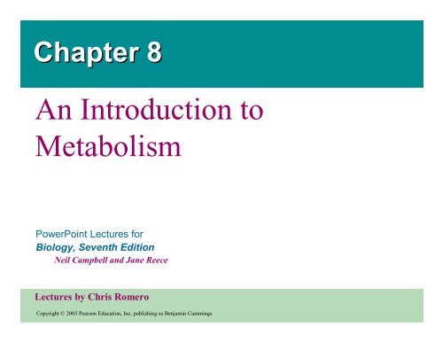 An Introduction to Metabolism