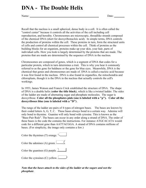 DNA - The Double Helix