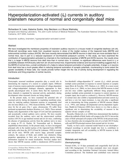 (Ih) currents in auditory brainstem neurons of normal and ...