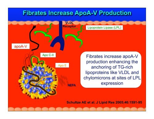 Fibrates