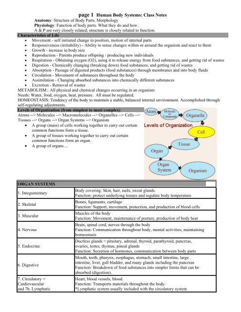 page 1 Human Body Systems: Class Notes