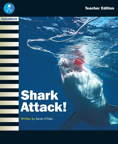 Shark Attack!