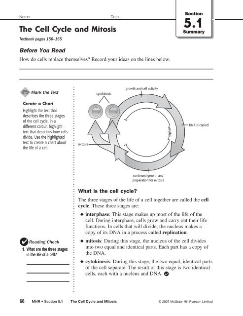 Cell Cycle Diagram Worksheet Answered: Date: Diagram With The Phase Of