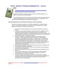 Guide to Working With Scouts With Special Needs and DisABILITIES