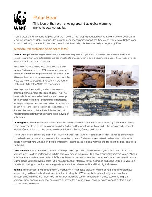 Polar Bear - WWF