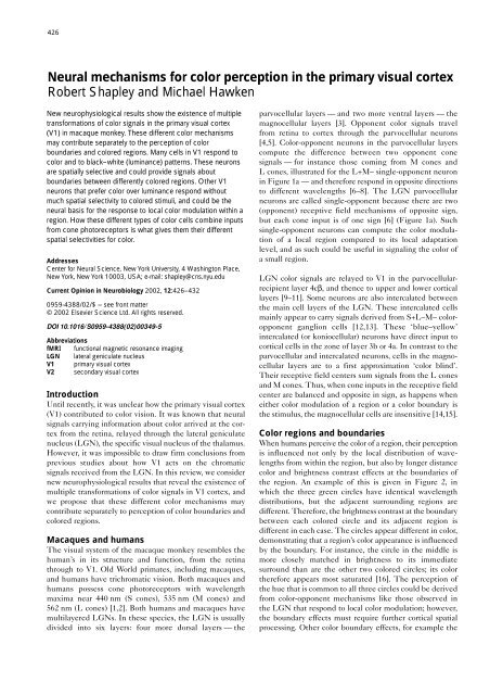 Neural mechanisms for color perception in the primary visual cortex