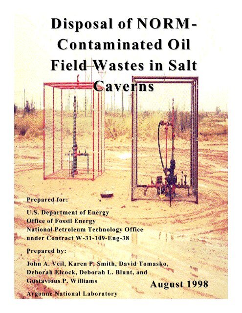 Disposal of NORM- Contaminated Oil Field Wastes in Salt Caverns