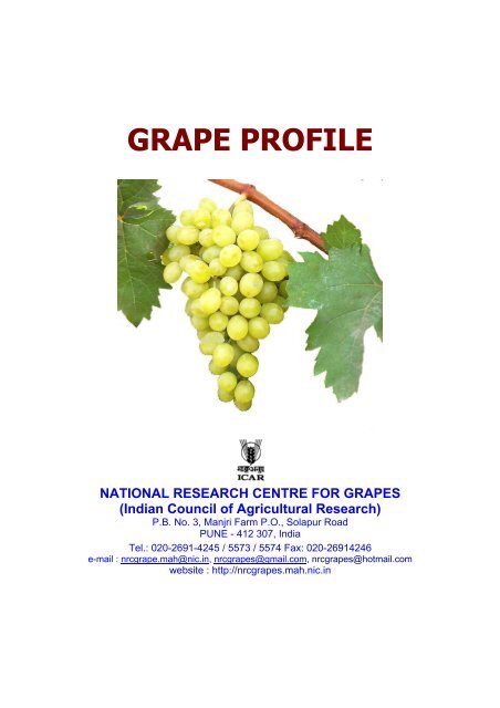 download Grape Profile - National Research Centre for Grapes