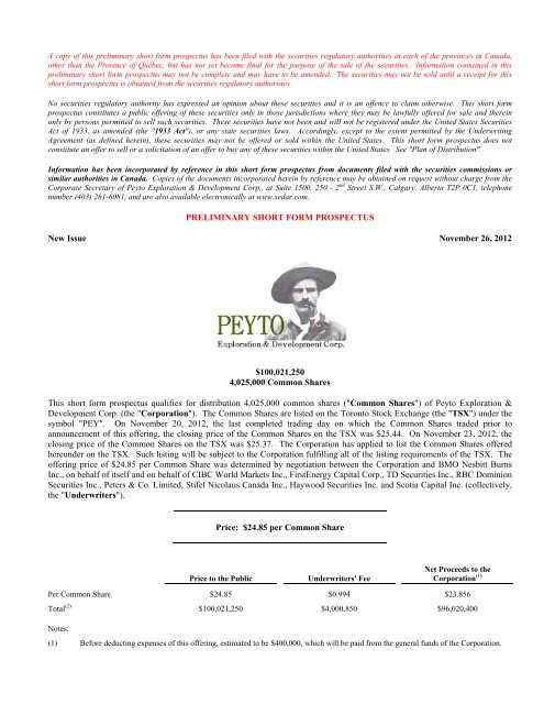 PRELIMINARY SHORT FORM PROSPECTUS New Issue ... - Peyto