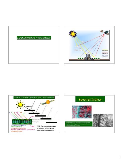 Spectral Indices - Remote Sensing and GIS Laboratory