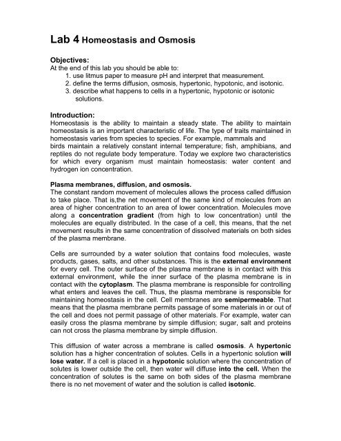 Lab 4 Homeostasis and Osmosis