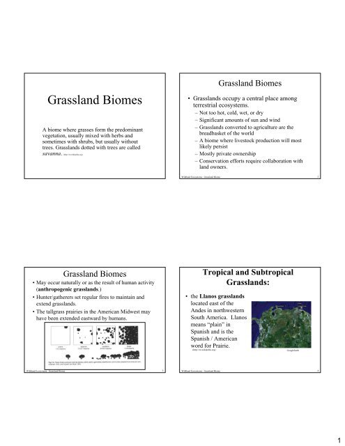 Grassland Biomes