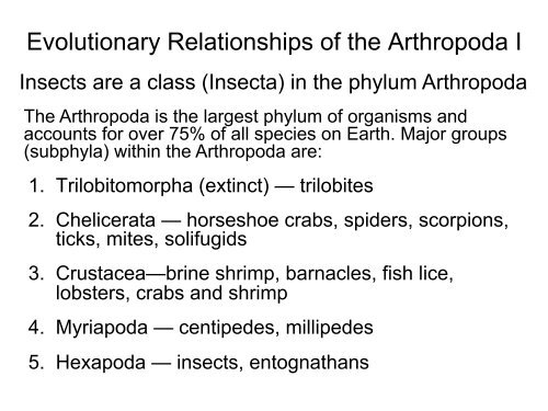 Evolutionary Relationships of the Arthropoda I - Biology Courses ...