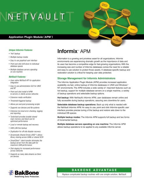 APM for Informix Data Sheet - SANDirect.com