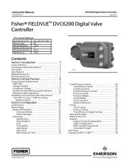 Fisher CV500 Rotary Control Valve