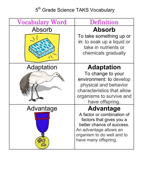 5th Grade Science TAKS Vocabulary
