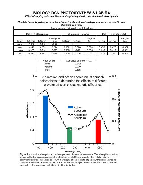 BIOLOGY DCN PHOTOSYNTHESIS LAB # 6
