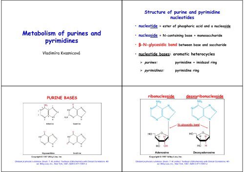 Purine And Pyrimidine Nucleotides