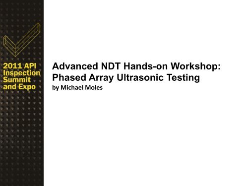 Advanced NDT Hands-on Workshop: Phased Array Ultrasonic Testing